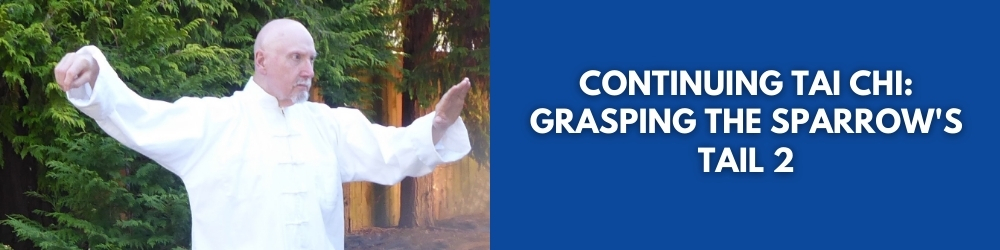 Continuing Tai Chi: Grasping the Sparrow's Tail 2 | Continuing Education